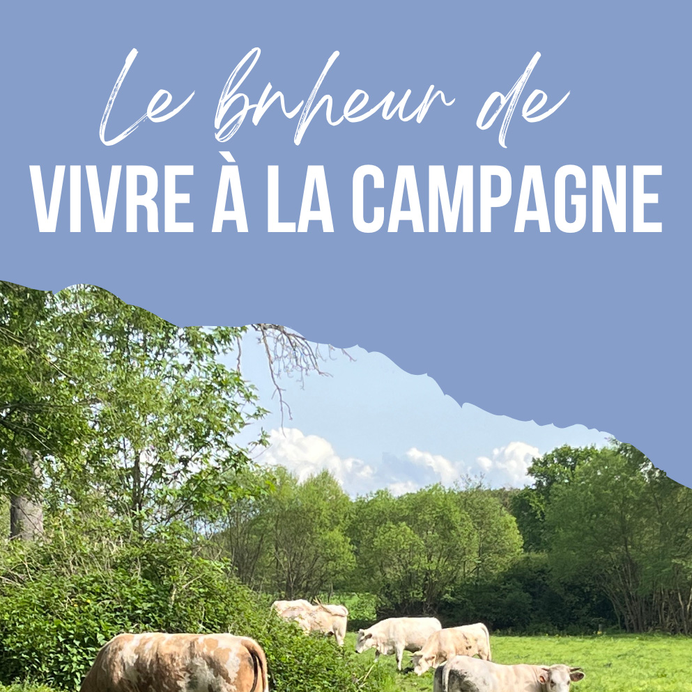 L'art de vivre à la campagne - Départ de la ville à la campagne : Guide ...